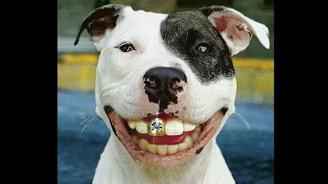 Gary Medel no se salvó de los memes tras perder un diente y ser operado ...